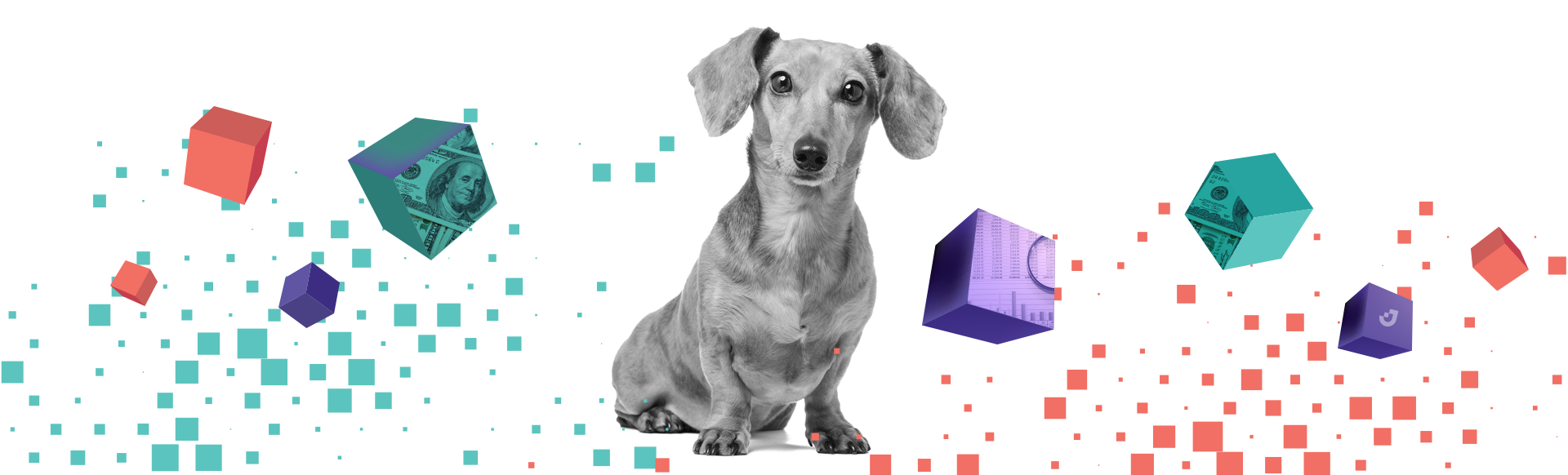 Meet the Team - JADDE Financial